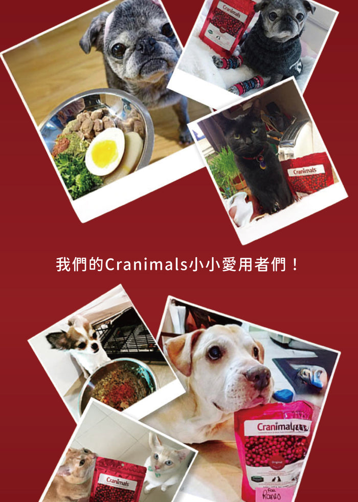Cranimals® 克萊莓 | 歐美寵物泌尿道保健領導品牌 官方頁面